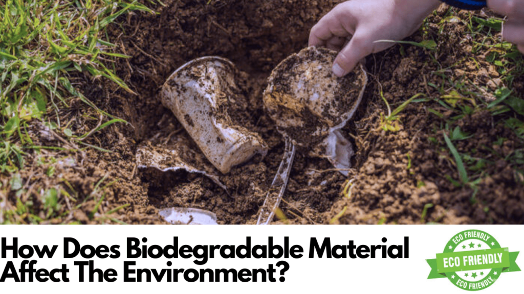 How Biodegradable Materials Impact the Environment